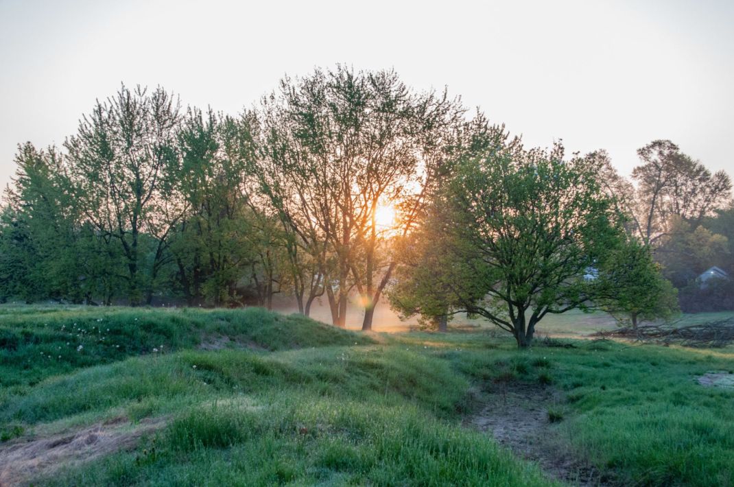 West Michigan Conservation Network